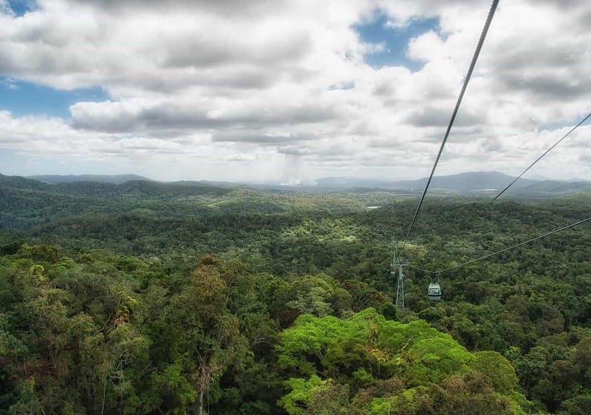 3 Walk Trials Of Daintree Rainforest: Heaven of Australia