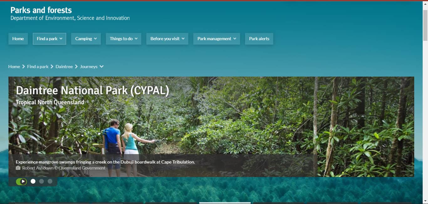 3 Walk Trials Of Daintree Rainforest: Heaven of Australia