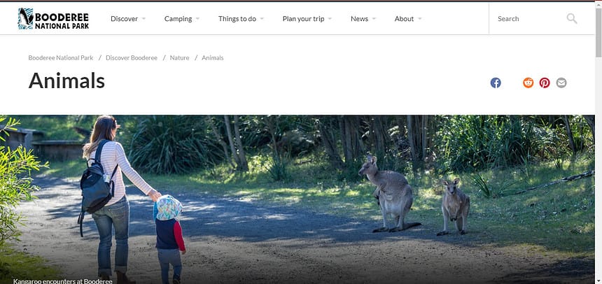 6 Amazing Spots in Booderee National Park