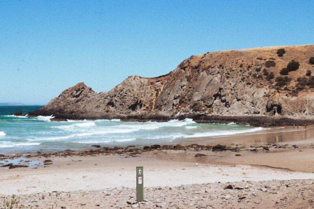 Planning to Visit the Fleurieu Peninsula? Here's the Complete Guide!