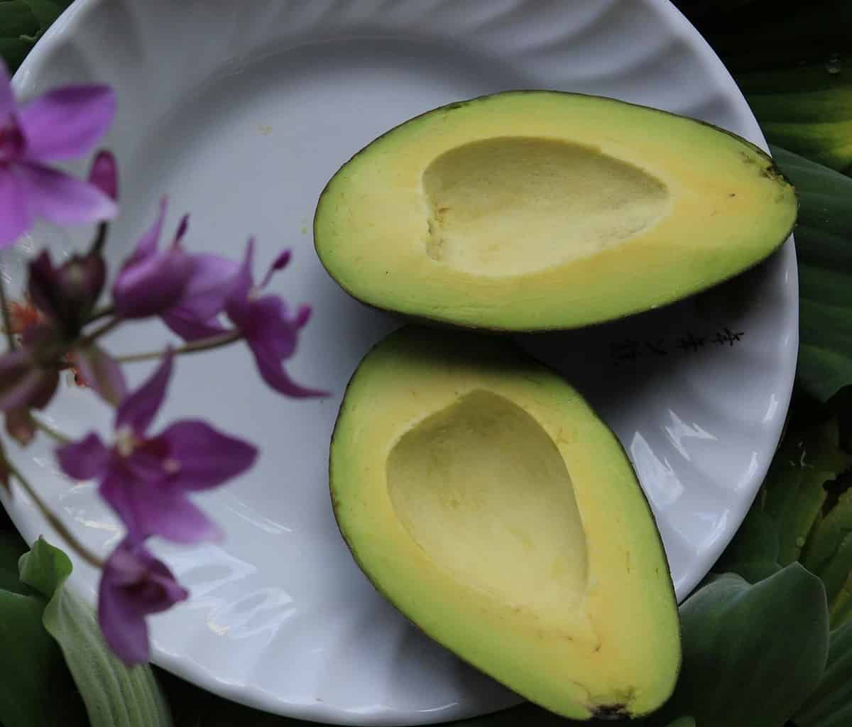 How to Choose a Good Avocado - 05 Secret Tips