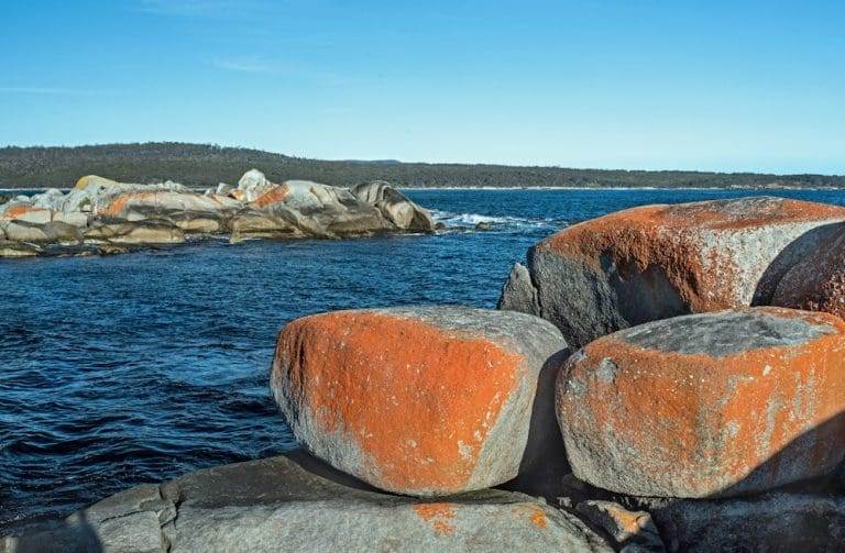 15 Best Beaches In Perth That One Should Visit