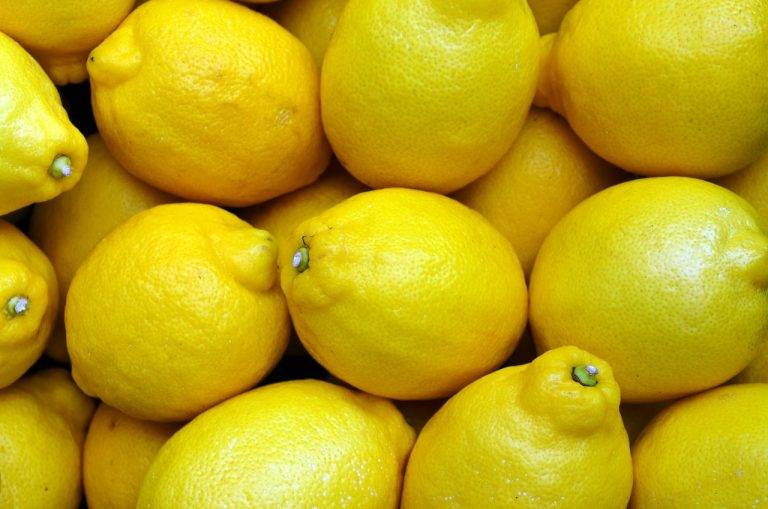 Lemon Buying Guide: How Much Is 1 Kg Of Lemons