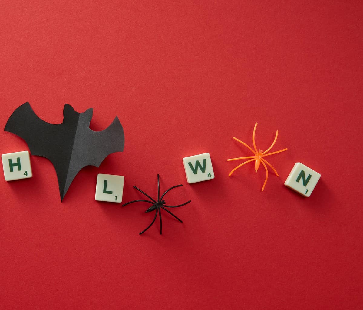 Protect Your Home and Family from Redback Spiders with This In-Depth Guide
