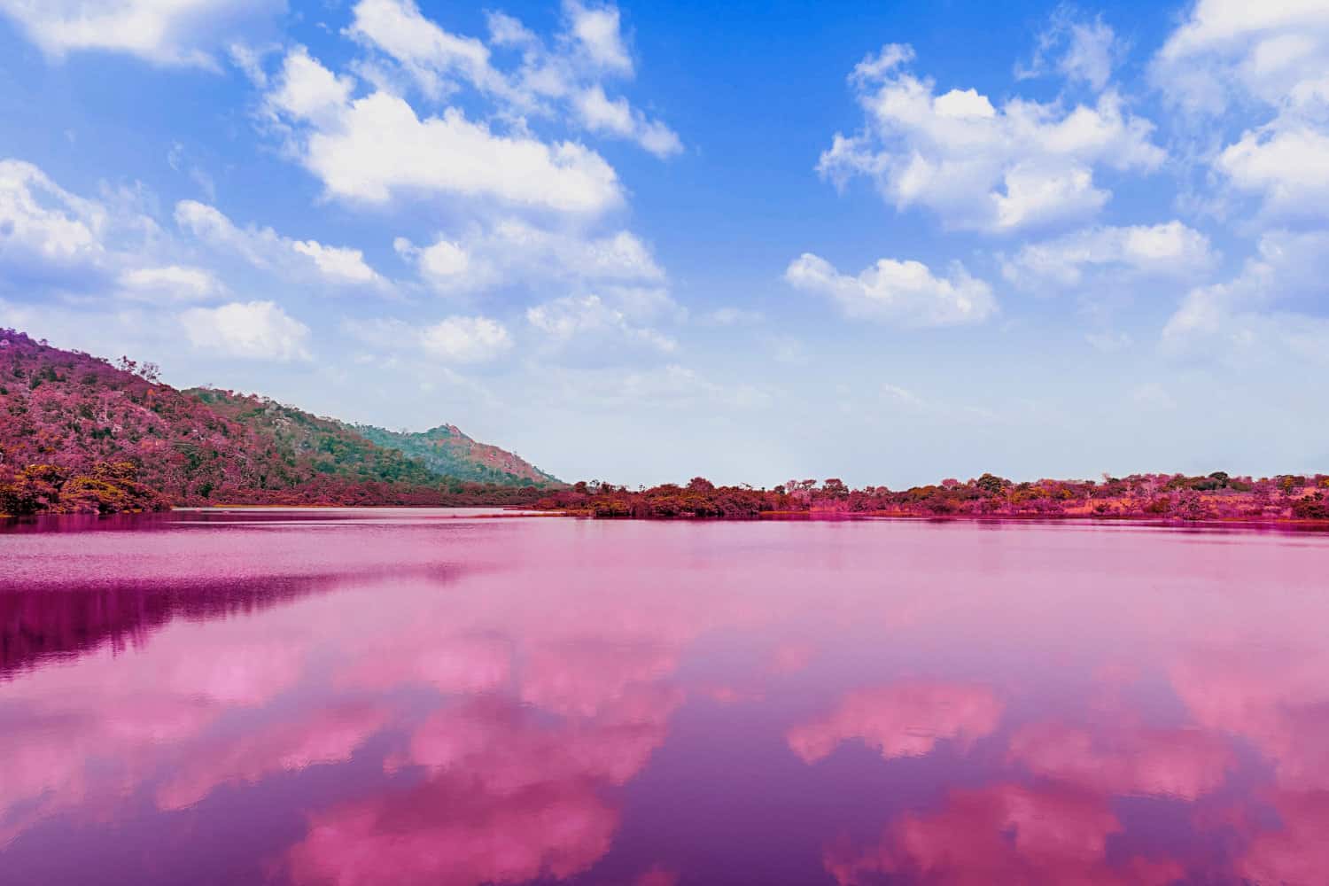 Lake Hillier : The Mysterious Pink Lake in Australia