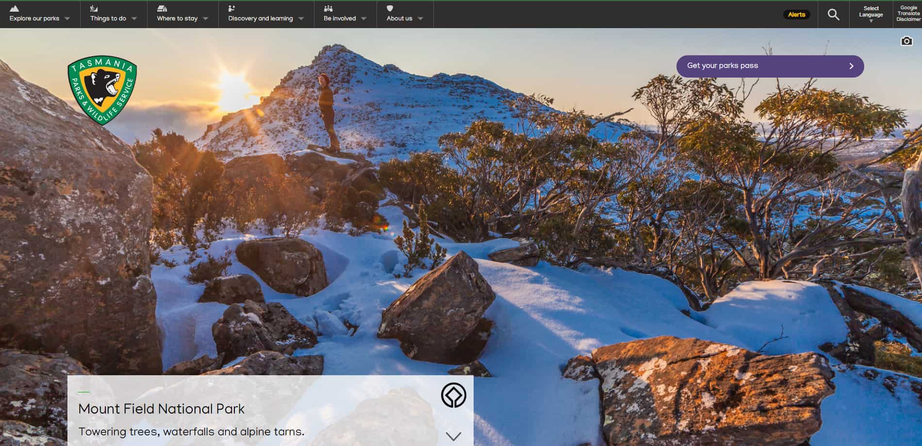 Mount Field National Park: 10 Incredible Things to Know